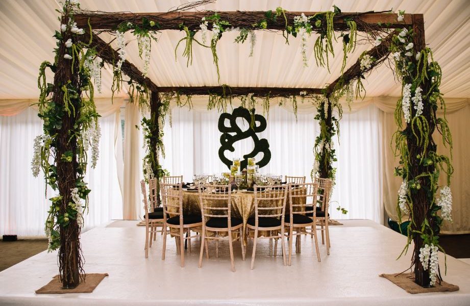 Priya and Nish's Wedding - Qube Events